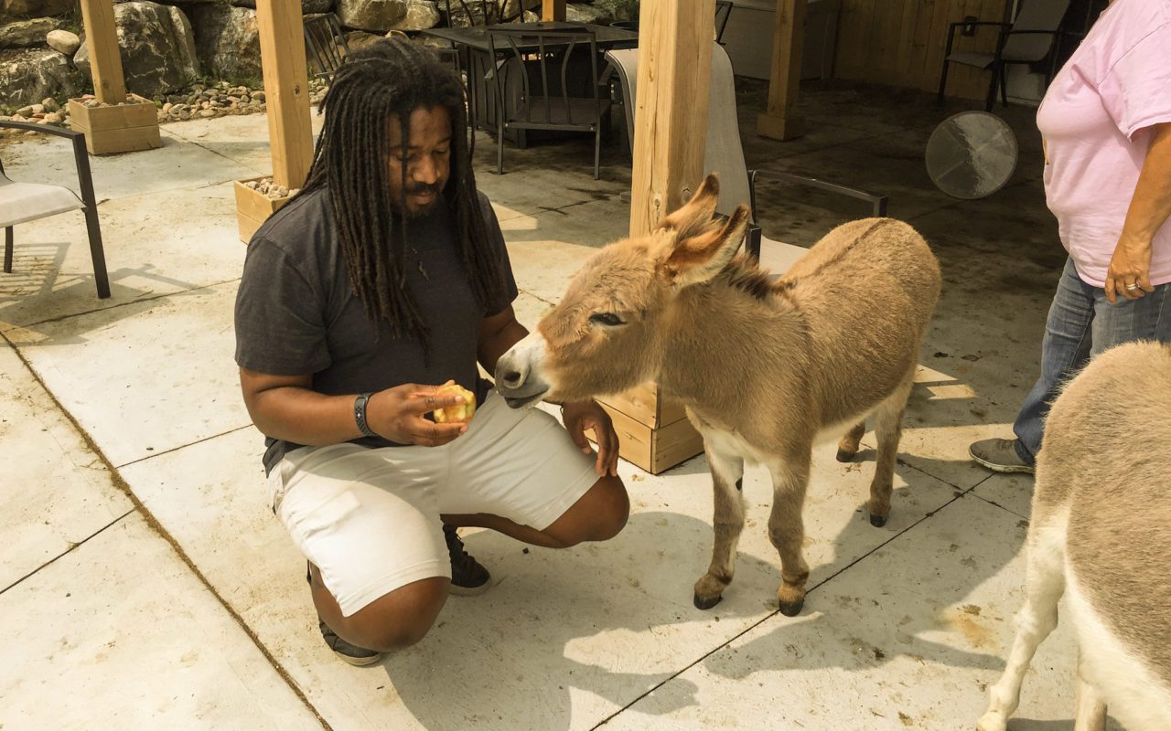 Andrews Scenic Acres Farm in Milton, Ontario | Visitor’s Guide For A ...