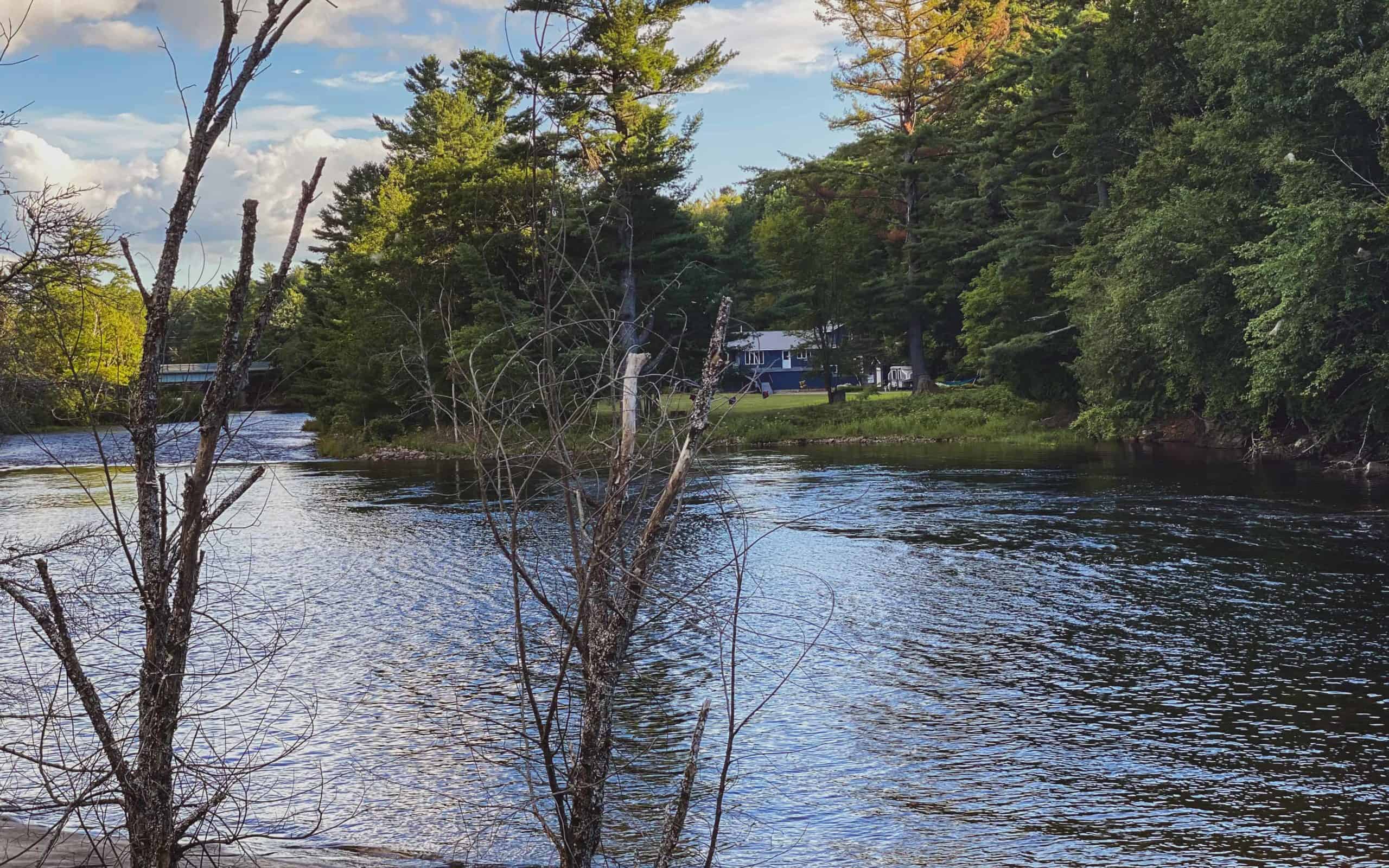 Huntsville Hikes, ON | 10 Best Muskoka Hiking Trails - Road Trip Ontario
