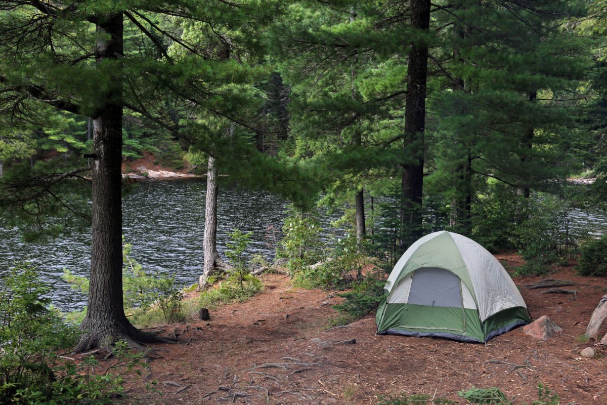 Explore Haliburton Ontario: A Nature Lover’s Dream | Road Trip Ontario