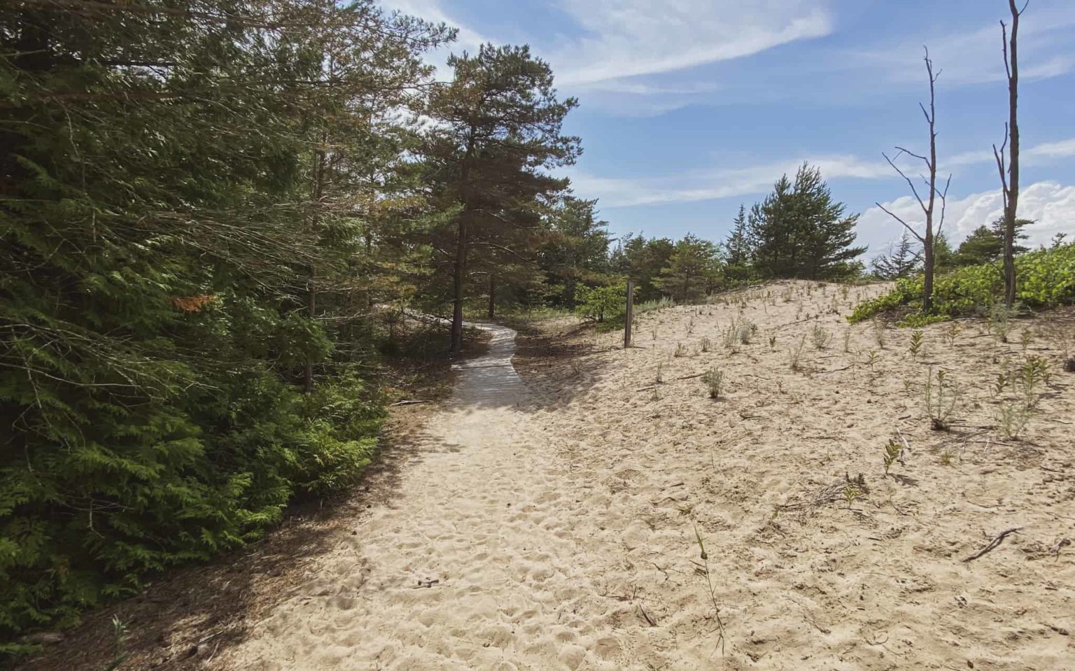 Sandbanks Beach | Camping, Dunes & Beach in South Eastern Ontario ...