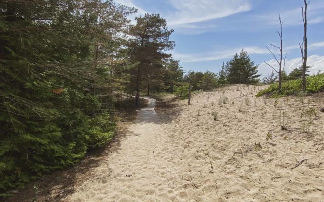 Sandbanks Beach | Camping, Dunes & Beach in South Eastern Ontario ...