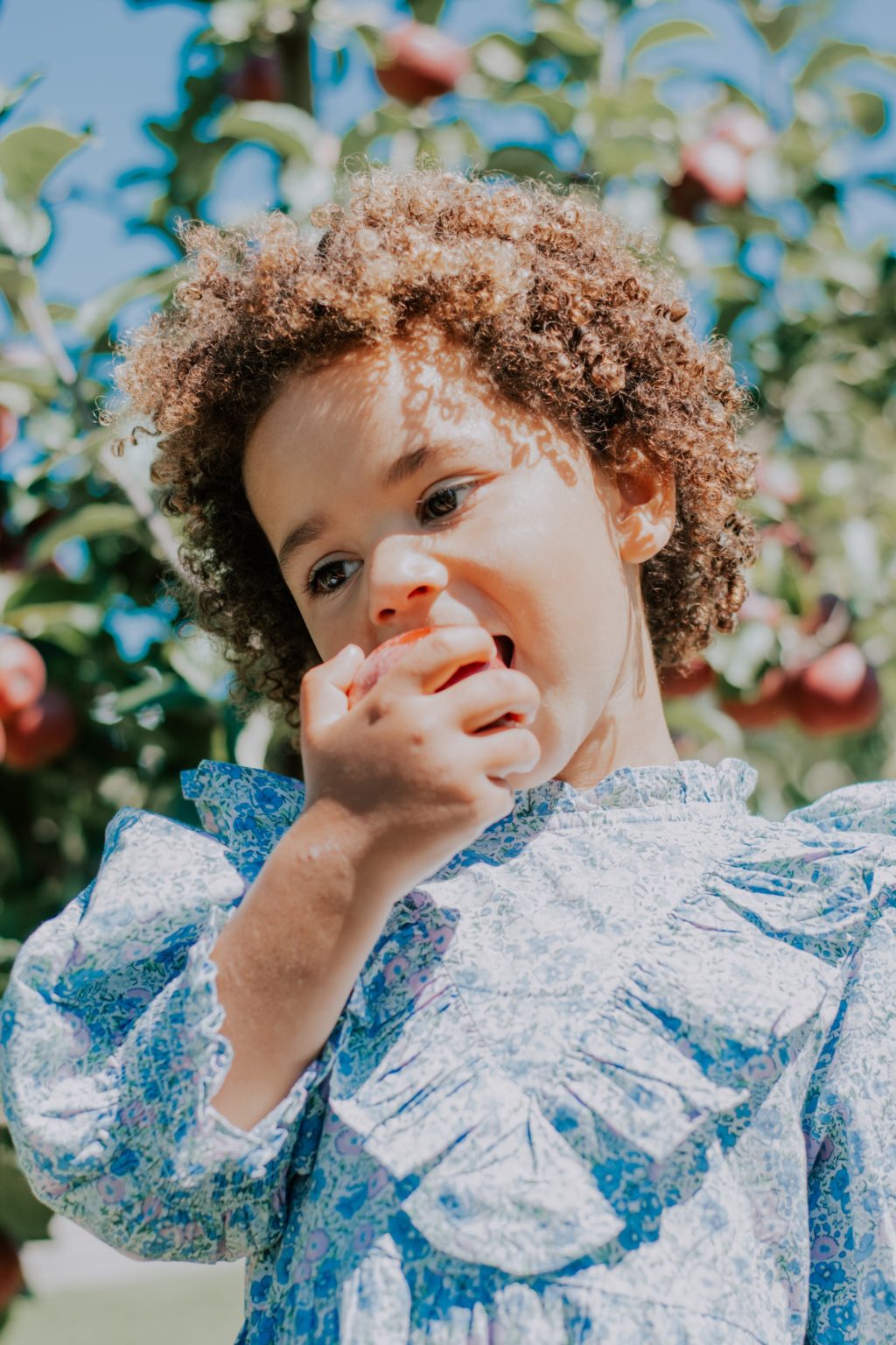 Apple Picking Ontario | 25+ Pick-Your-Own Orchards to Visit this Fall ...