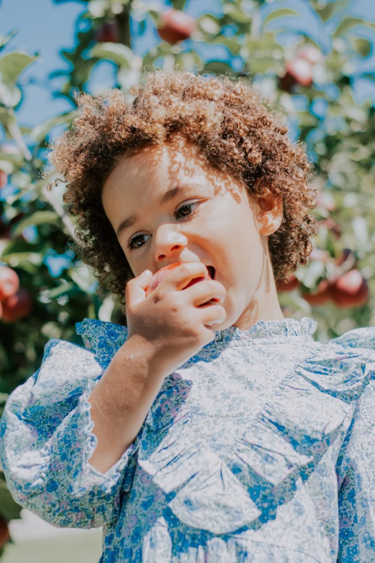 Apple Picking Ontario | 25+ Pick-Your-Own Orchards to Visit this Fall ...