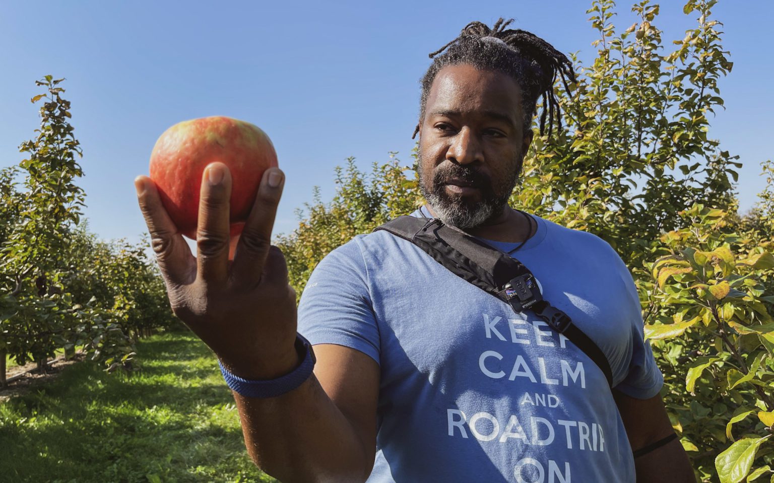 Apple Picking Ontario | 25+ Pick-Your-Own Orchards to Visit this Fall ...