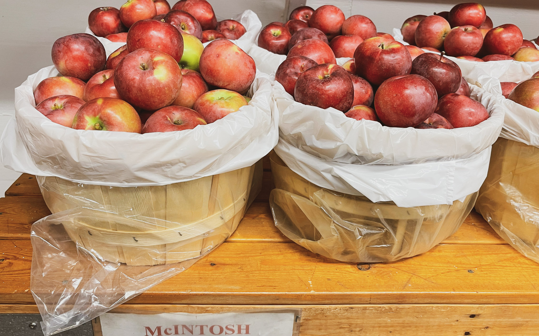 Apple Picking Ontario | 25+ Pick-Your-Own Orchards to Visit this Fall ...
