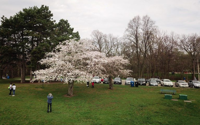 Spring In Ontario | 16 Activities to Have a Blooming Time | Road Trip ...