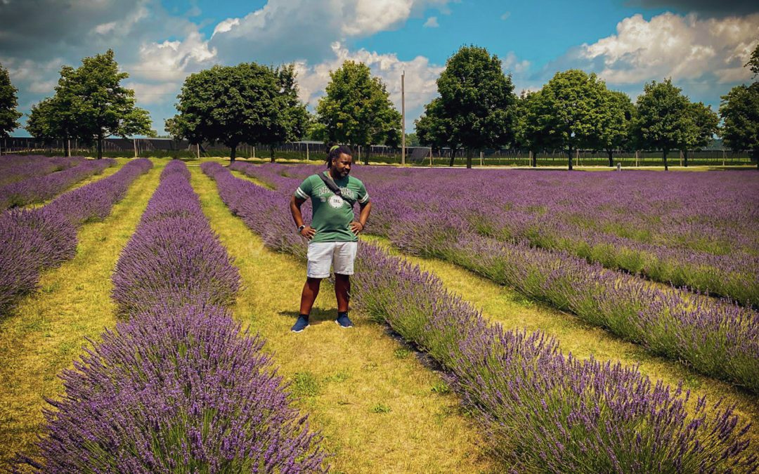 Spring In Ontario | 10 Activities to Have a Blooming Time - Road Trip ...