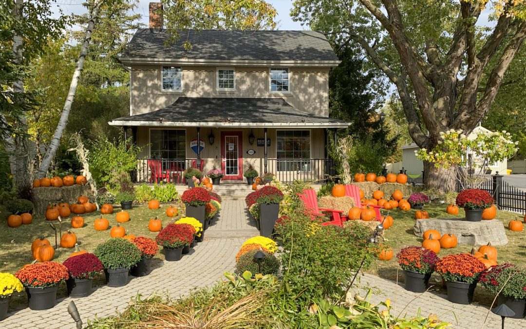 Things To Do In Kleinburg, Ontario, In A Day | Road Trip Ontario