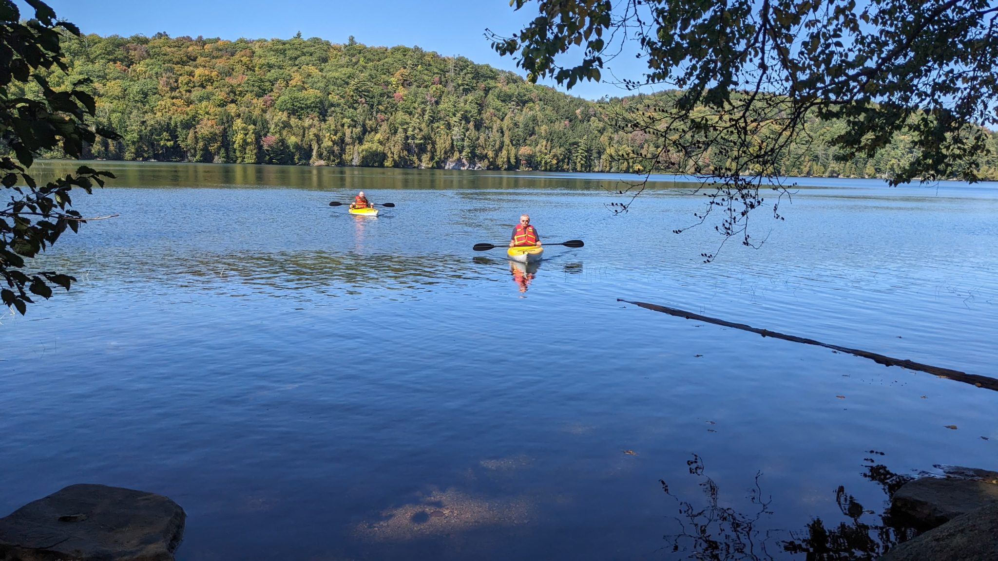 Explore Haliburton Ontario: A Nature Lover’s Dream | Road Trip Ontario