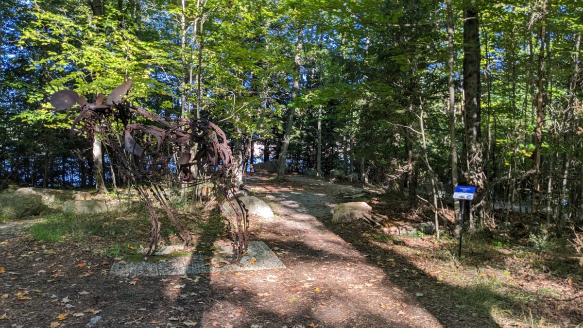 Explore Haliburton Ontario: A Nature Lover’s Dream | Road Trip Ontario
