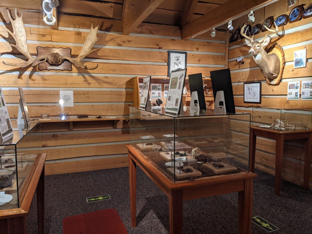 Explore Haliburton Ontario: A Nature Lover’s Dream | Road Trip Ontario