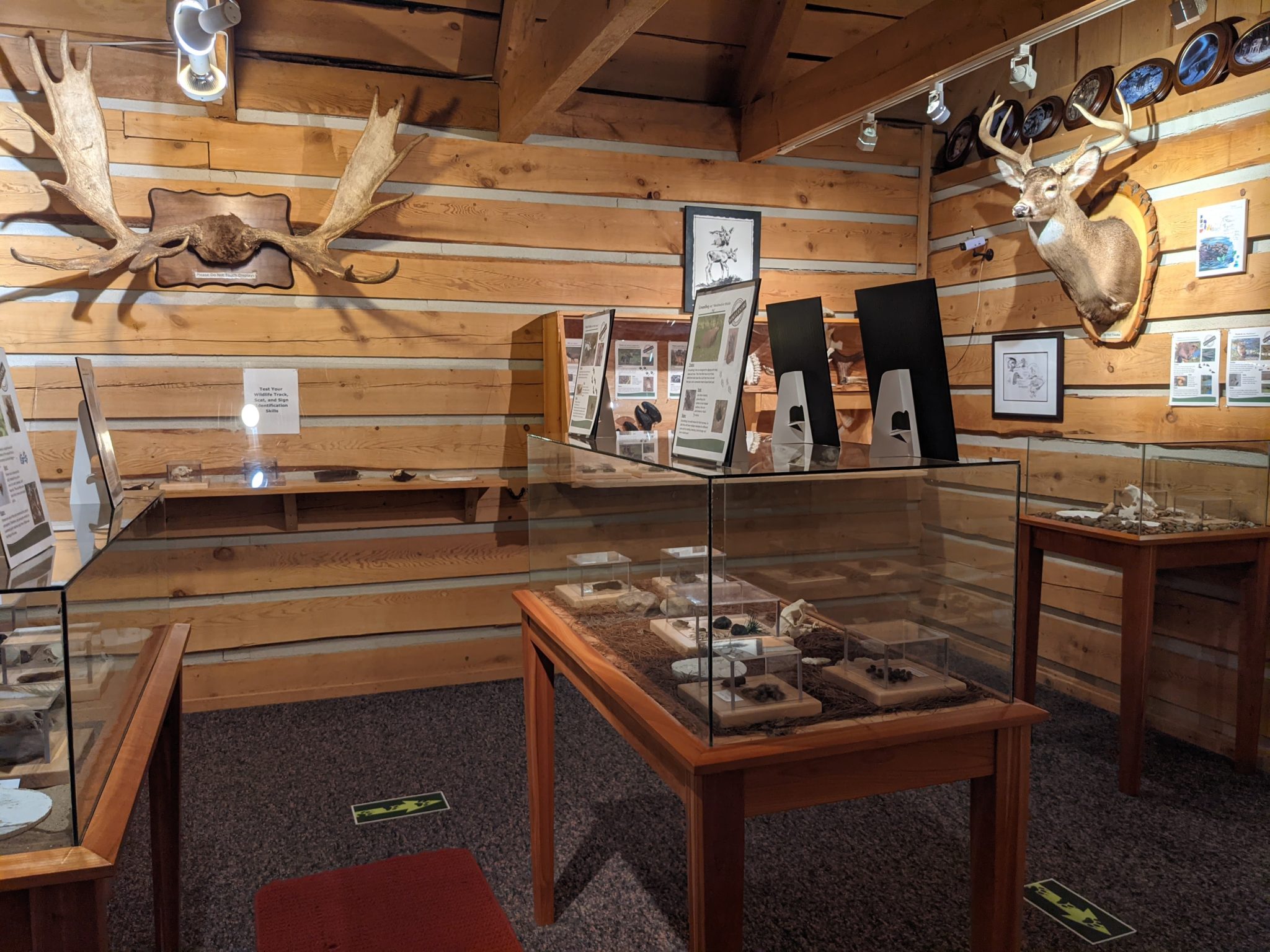 Explore Haliburton Ontario: A Nature Lover’s Dream | Road Trip Ontario