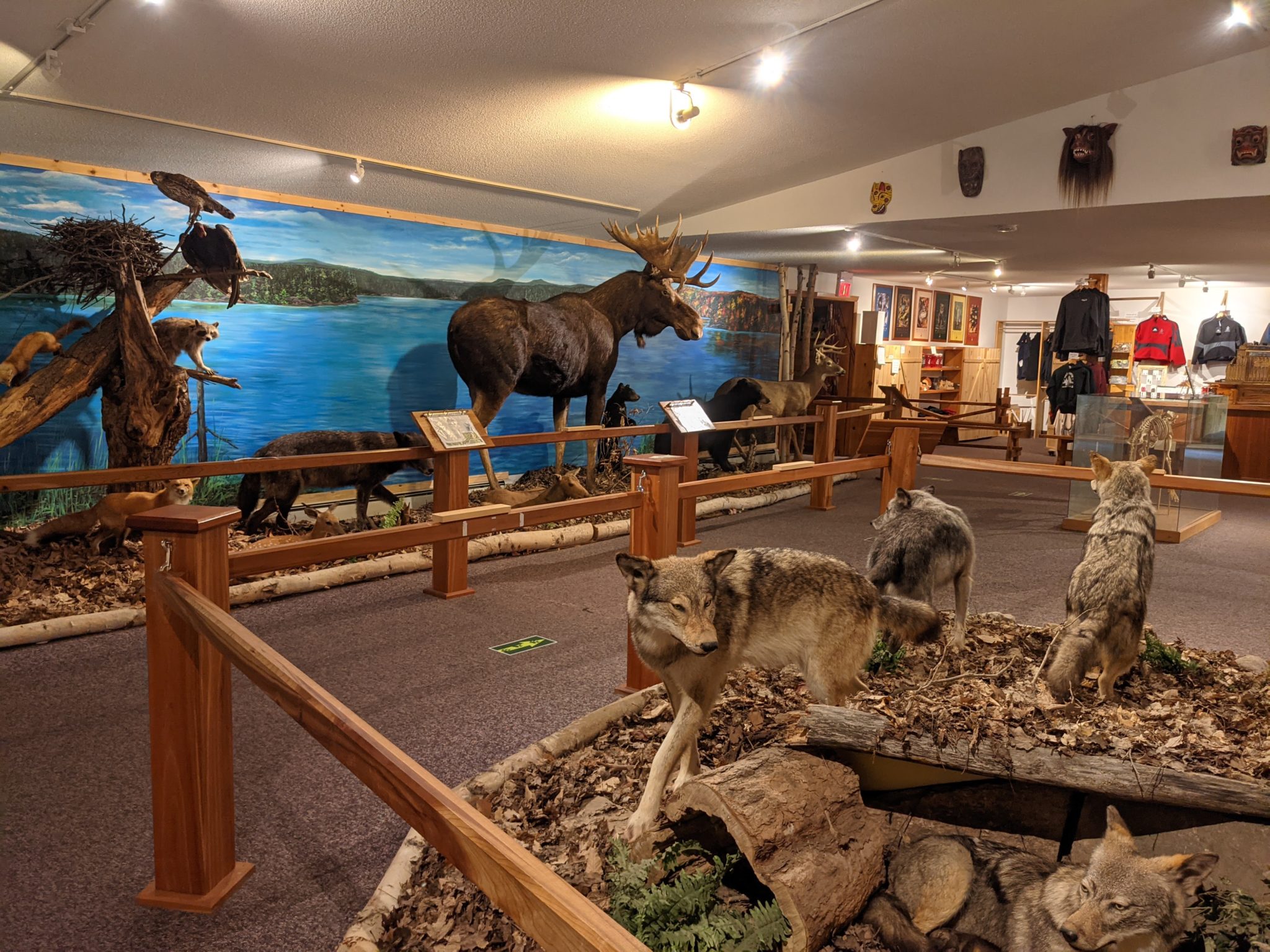 Explore Haliburton Ontario: A Nature Lover’s Dream | Road Trip Ontario