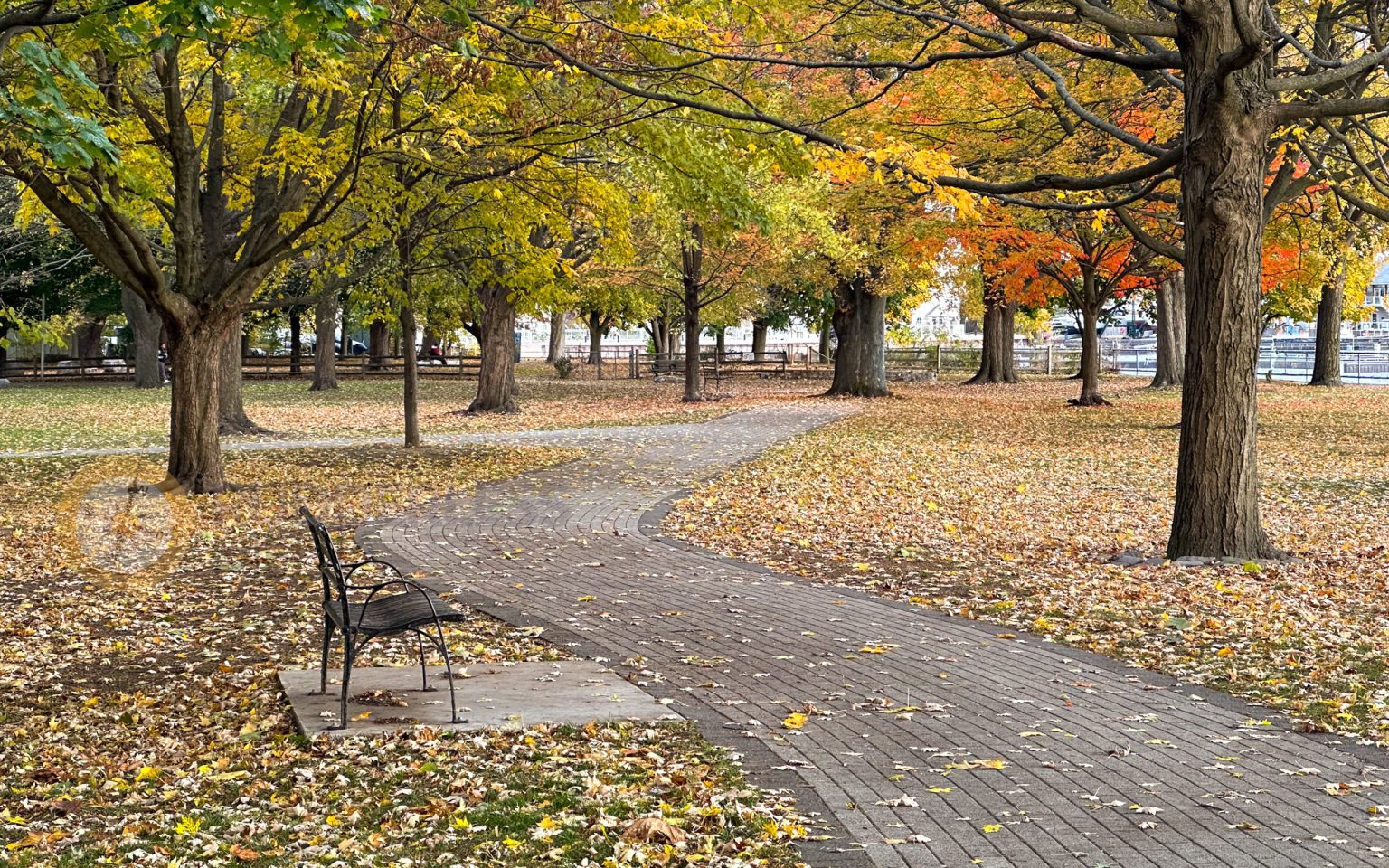 From Beaches to Bridges: Experience the Martin Goodman Trail Like a ...